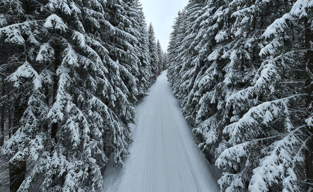 Ultimate Guide To Snowmobile Trails New Brunswick & Quebec